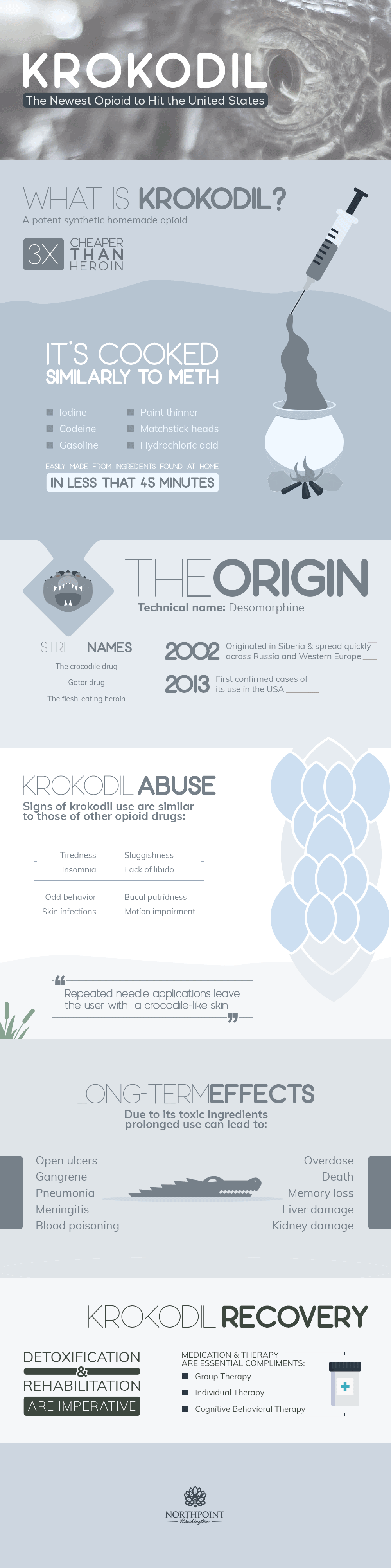 Krokodil Ingredients