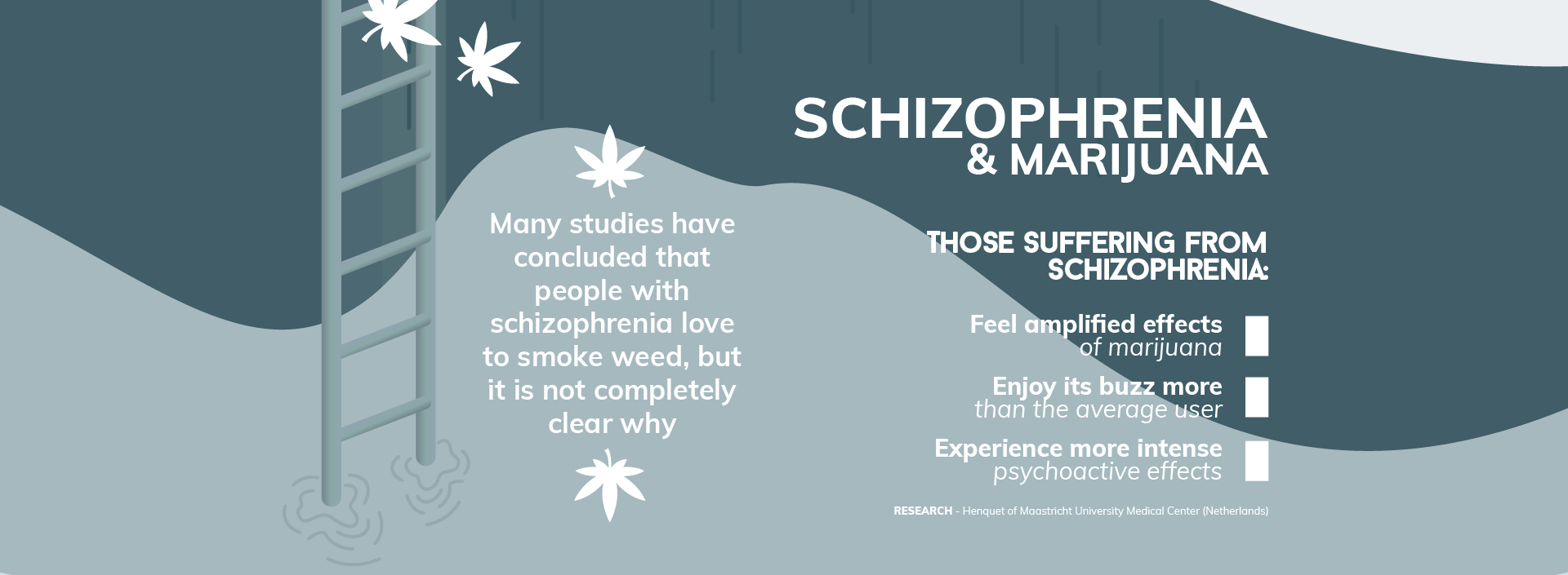 Integrated Treatment Guide for Dual Diagnosis of Co-Occurring Disorders